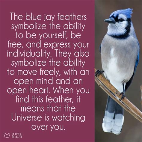 Blue Jay Feather Tattoo Meaning