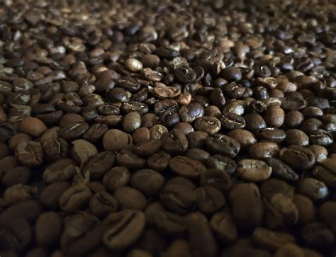 Premium Photo Coffee Beans Texture