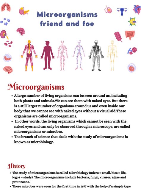 Microorganisms Pdf Microorganism Infection