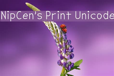 NipCen S Print Unicode Font FFonts Net