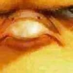 Bound And Used 2 BDSM BDSM Porn XHamster