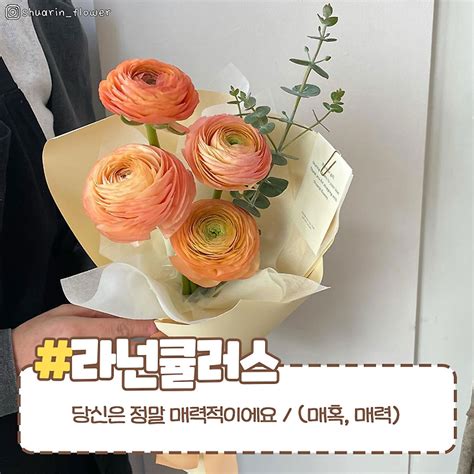사랑하는 사람에게 선물하기 좋은 꽃말 좋은 꽃다발 모음집 💐 남녀생활백서