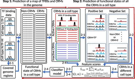 schematic of our two step approach and workflow of our machine learning