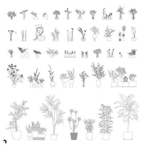 Cad Decorative Plants Toffu Co