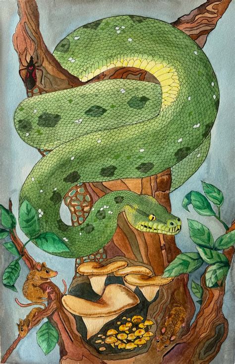 How To Draw A Tree Python