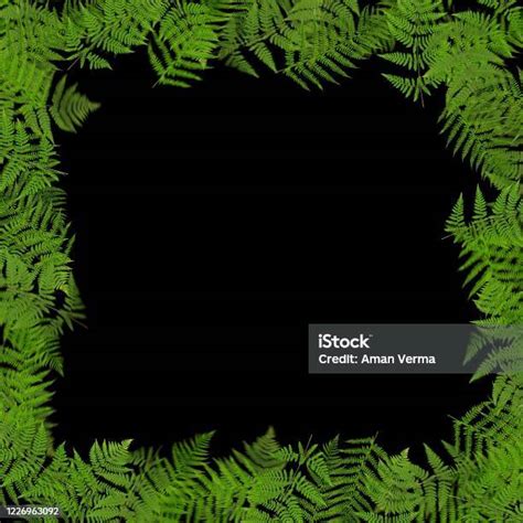 복사 공간이있는 녹색 열대 잎 배경 프레임 모서리주위에 녹색 잎이 있는 검은색 배경입니다 텍스트 와 디자인을위한 장소 0명에