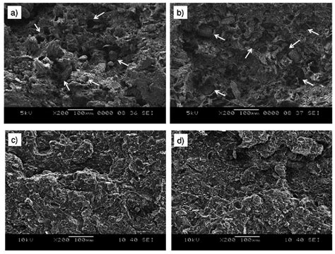 Sem Micrographs Of Fracture Surface A Unmodified Ppcph10020 B