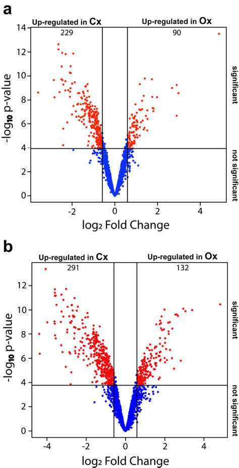 volcano plots of microarray analyses to identify genes differentially