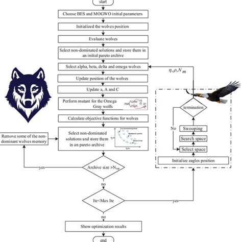 The Flowchart Of Proposed Hbes‐mogwo Optimization Algorithm Download Scientific Diagram