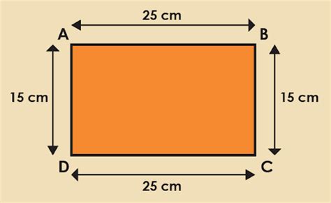 What Is The Total Length Of All Sides Of The Given Figure