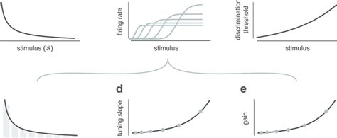 Experimental Predictions For Efficient Coding With Sigmoidal Tuning