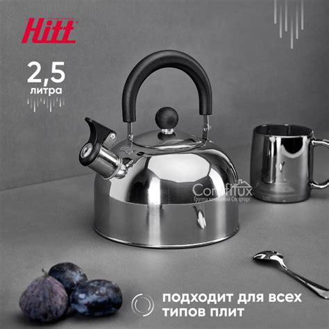 Чайник для плиты Hitt Standard Plus 2 5 литра со свистком подходит для всех типов плит купить