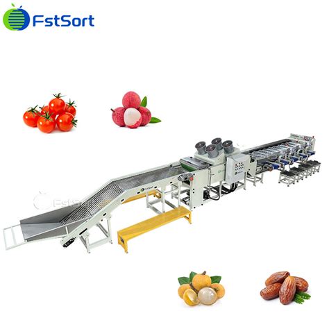 cherry tomato cleaning drying grading machine kumquat processing line