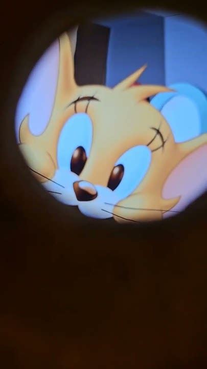 몰래 훔쳐보기 찍지마라 톰과제리 제리 집 훔쳐보기 Youtube