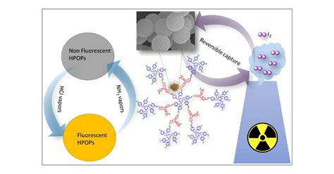 Efficient Optoelectronic Sensing Of Hcl Vapor And Effective Iodine Capturestorage By Hybrid