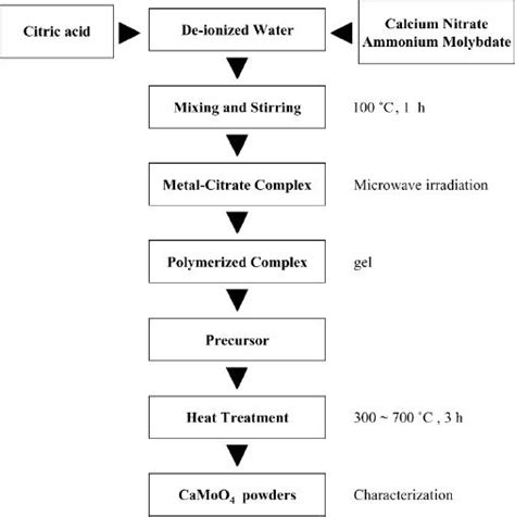 Synthetic Strategies In Chemistry Natural Sciences Chemistry