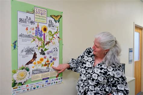 Cross Pollination Art And Design Professors Poster Connects Career Dots