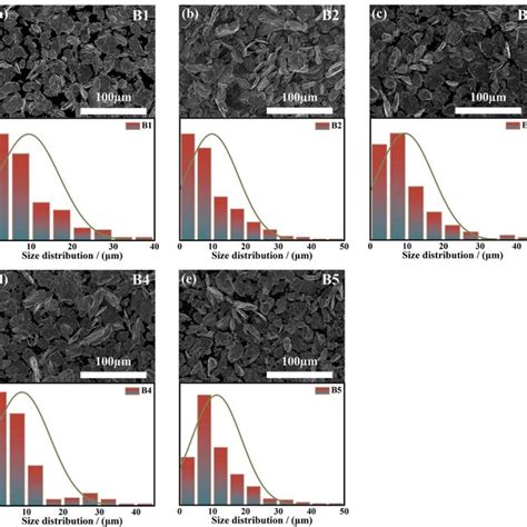Sem Images And Size Distribution Histogram Of A B1 B B2 C B3