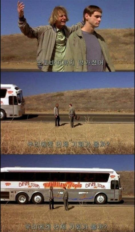 수영복 입은 여자들이 남자 2명에게 포텐 터짐 최신순 에펨코리아