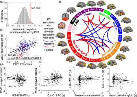 Brain Cognition Relationship Between Partial Functional Connectivity