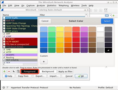 Create And Apply Colorizing Rules In Wireshark Labex