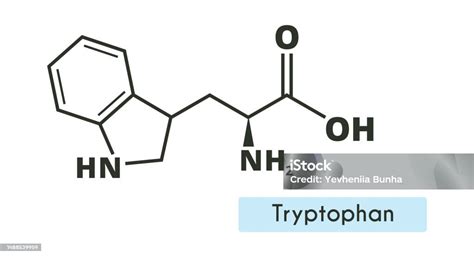 Tryptophan Molecule Structure Stock Illustration Download Image Now Abstract Acid