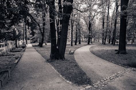 7 Free Two Way Path And Two Ways Images Pixabay