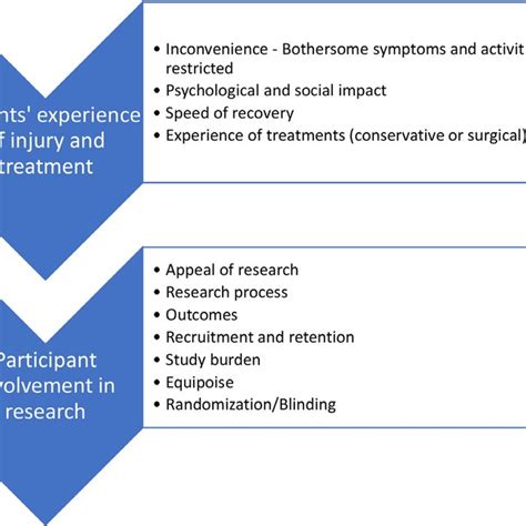 Themes And Subthemes For Proposed Framework Analysis Download