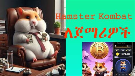 Hamster Kombat ለጀማሪዎች Ethioptech Hamsterkombat Hamsters Bitcoin Cryptocurrency Airdrop