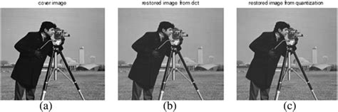 A Cover And Watermarked Image B After Dct C After Quantization