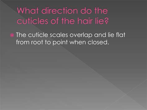 PPT - SHAMPOO CONDITION AND TREAT THE HAIR AND SCALP PowerPoint ...