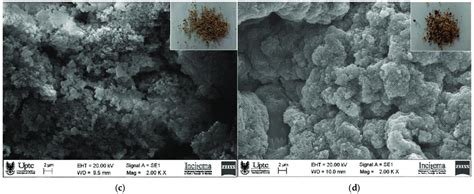 Sem Micrograph Images With 2000× Magnification Of The Surface Of