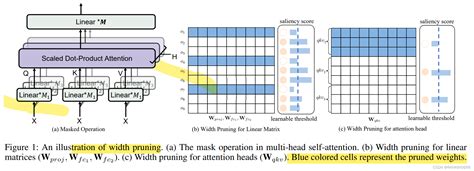vision transformer pruning a comprehensive summary of dimension and