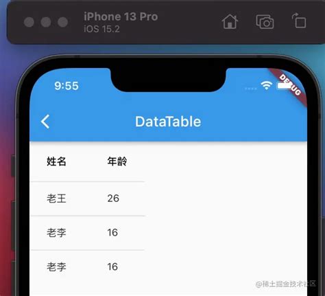 10、 Flutter Widgets 之 Datatable表格数据datatable 这个名字在大前端开发一定不陌 掘金