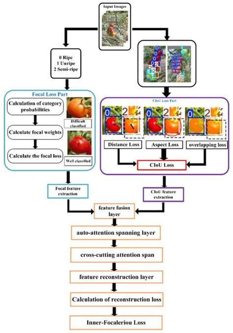 A Method For Tomato Ripeness Recognition And Detection Based On An