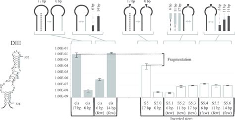 Sex Factor Conjugation Efficiency Of The Ll Ltrb S5dorf Variants Download Scientific Diagram