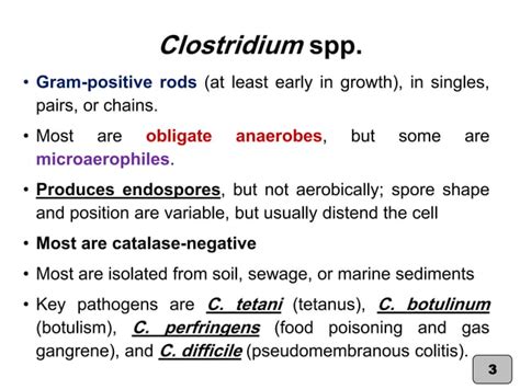 Clostridium Spp Practical Medical Microbiology 13 Pdf