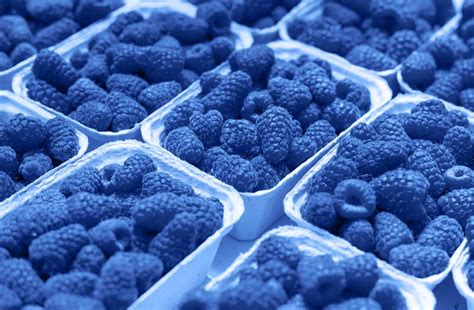 What Is Blue Raspberry All About The Flavor Behind Your Favorite Foods