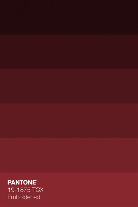 Pantone Dark Red Tcx