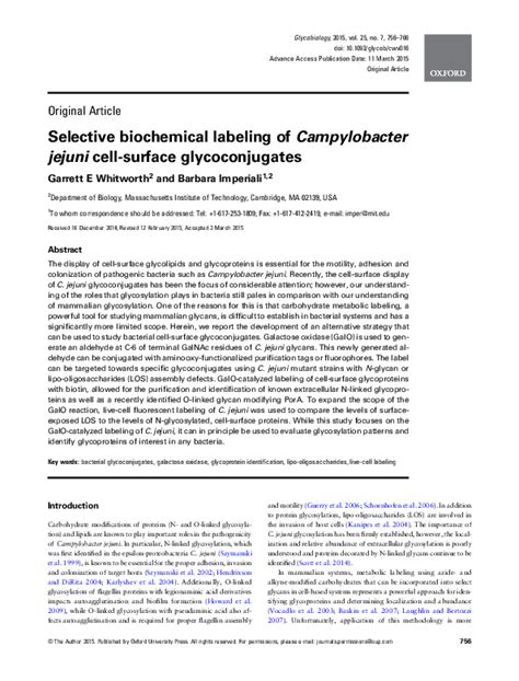 Pdf Selective Biochemical Labeling Of C Jejuni Cell Surface Glycoconjugates