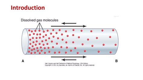 Diffusion Of Gases Pptx