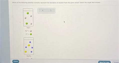 Solved Which Of The Following Sketches Correctly Represent