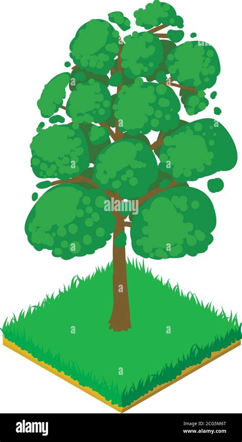 Sassafras Icon Isometric Style Stock Vector Image And Art Alamy Sassafras Icon Isometric Style Stock Vector Image And Art Alamy