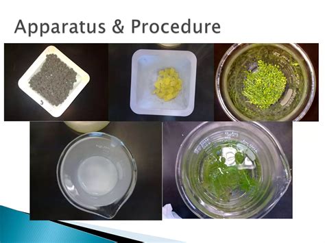 The Effect Of Substances On Dissolved Oxygen Level Ppt The Effect Of Substances On Dissolved Oxygen Level Ppt