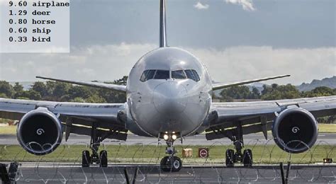 File Example Image Classification BoofCV