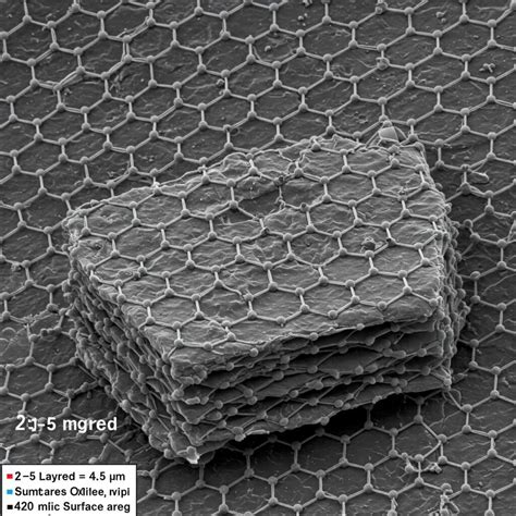Graphene Oxide 2 5 Layer Dia 4 5 µm Sa 420 M2 Gr