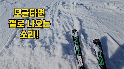 지산 폐장일을 하루 앞두고 모글을 타러 갔습니다넘흐 힘들었지만 넘흐 재미있어요 Youtube