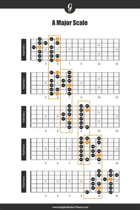 A Major Scale Positions Major Scale Guitar Guitar Lessons