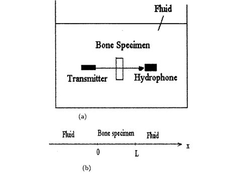 Ultrasonic Propagation Modeling A Experiment Arrangement B