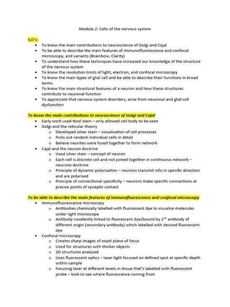 Module 2 Pdf Neuron Axon